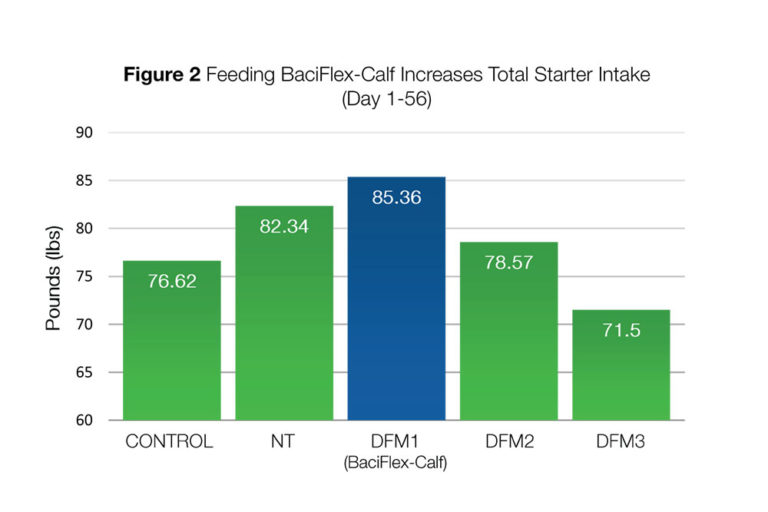 Direct-fed Microbials Support Healthy Calves - Papillon Agricultural ...