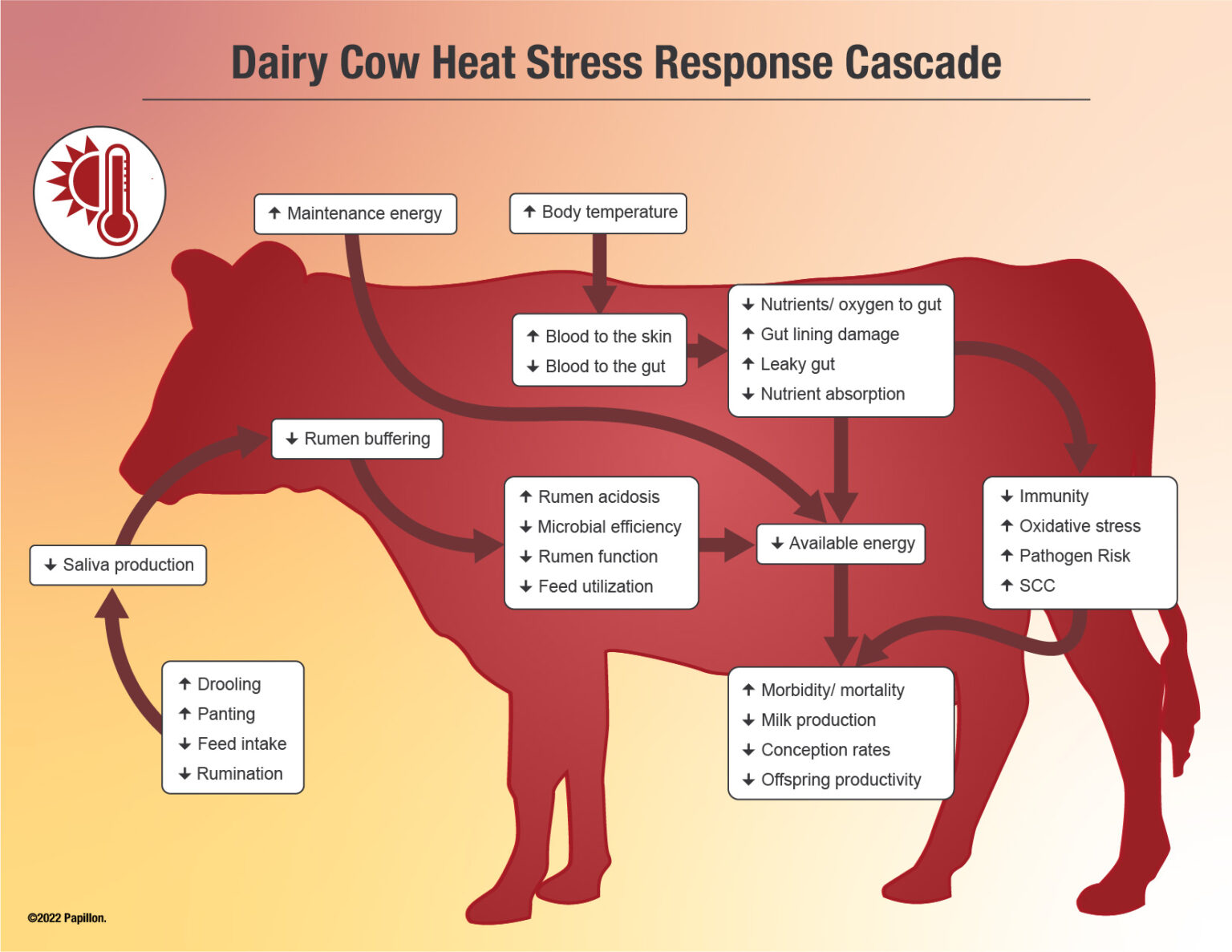Feed Additives for Dairy Cows: Necessary to Overcome Heat Stress ...