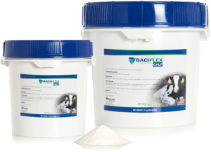 BaciFlex-Calf | Direct-Fed Microbial to Support Calf Gut Health ...