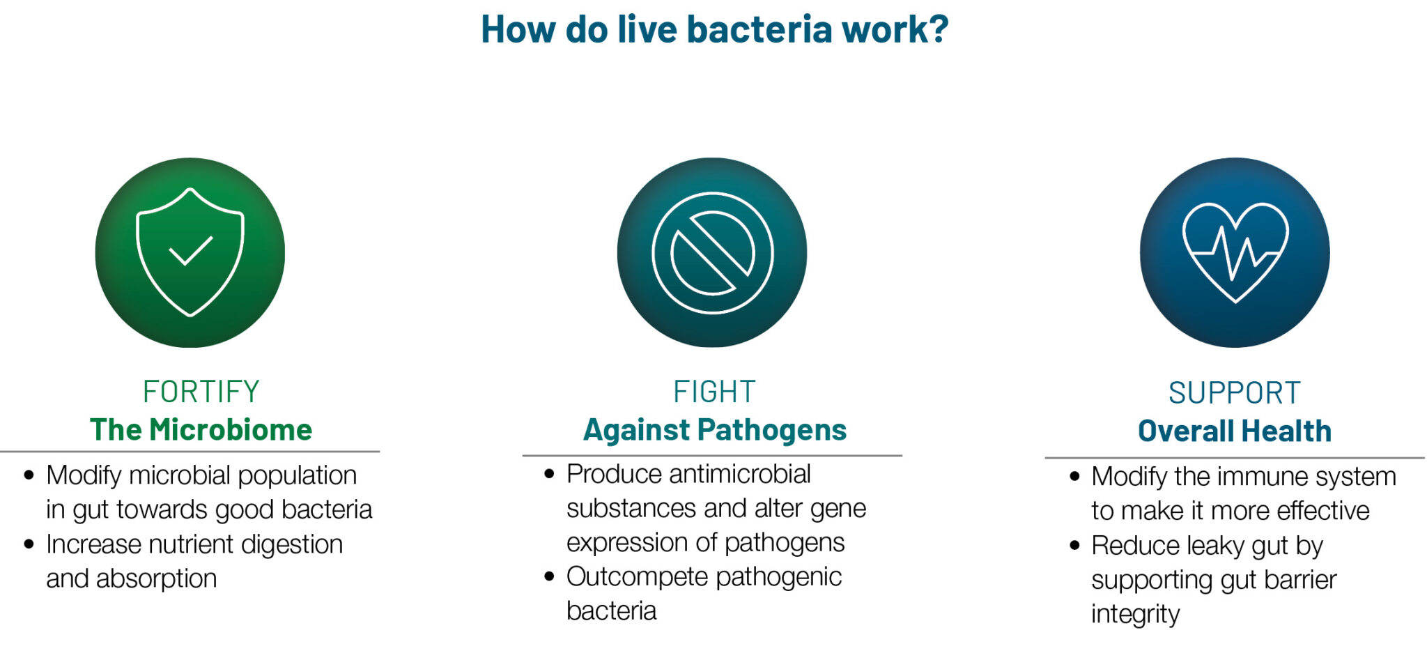 Probiotics for Cattle: What You Need to Know | PAC Facts